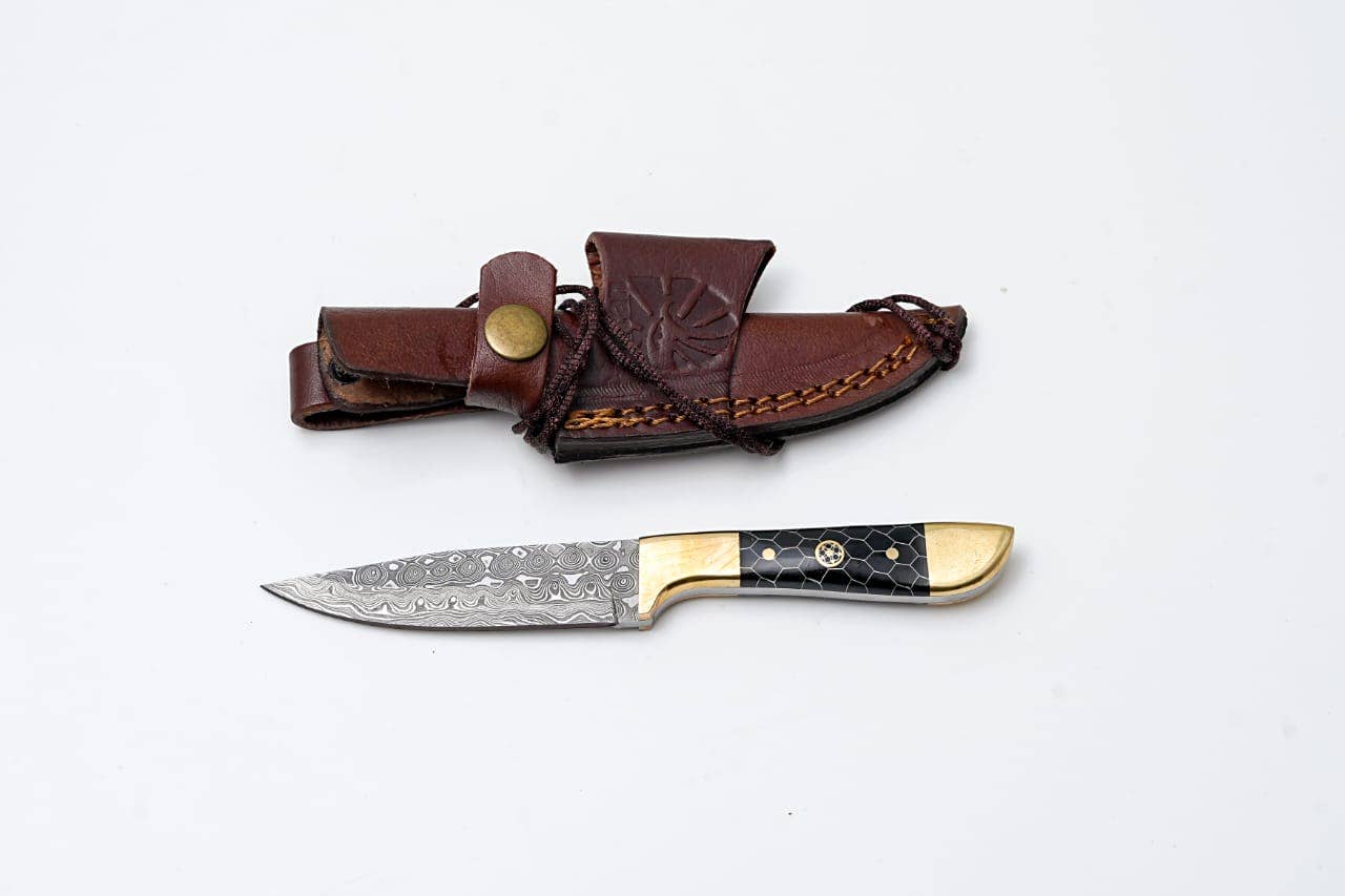 Titan The Golden Serpent TK-413 – Cypress & Creed